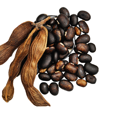 Naturals Alkushi Powder (আলকুশি গুঁড়া) - 100 gm: | Rokomari.com