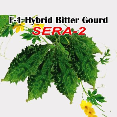 Naomi Seed F-1-Hybrid Bitter Gourd 5 gram - SERA-2 : Naomi Seed | Rokomari.com
