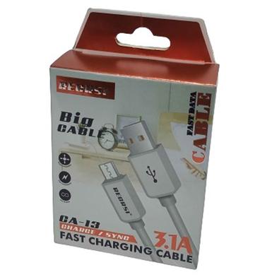 RECRSI Type-C Fast Charging Big Data Cable 3.1A : Non-Brand | Rokomari.com