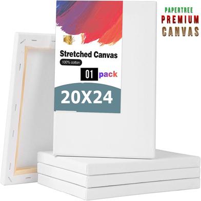White Canvas 20x24 inch: | Rokomari.com